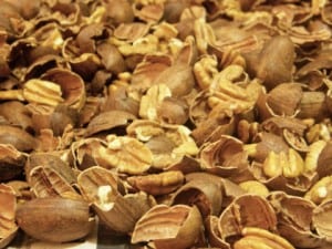 Eastern NC B&B talks pecan recipes, pecan harvest, pecan crackers