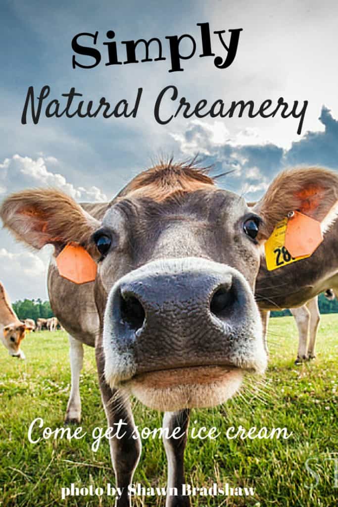 North Carolina dairy Simply Natural Creamey in Snow Hill