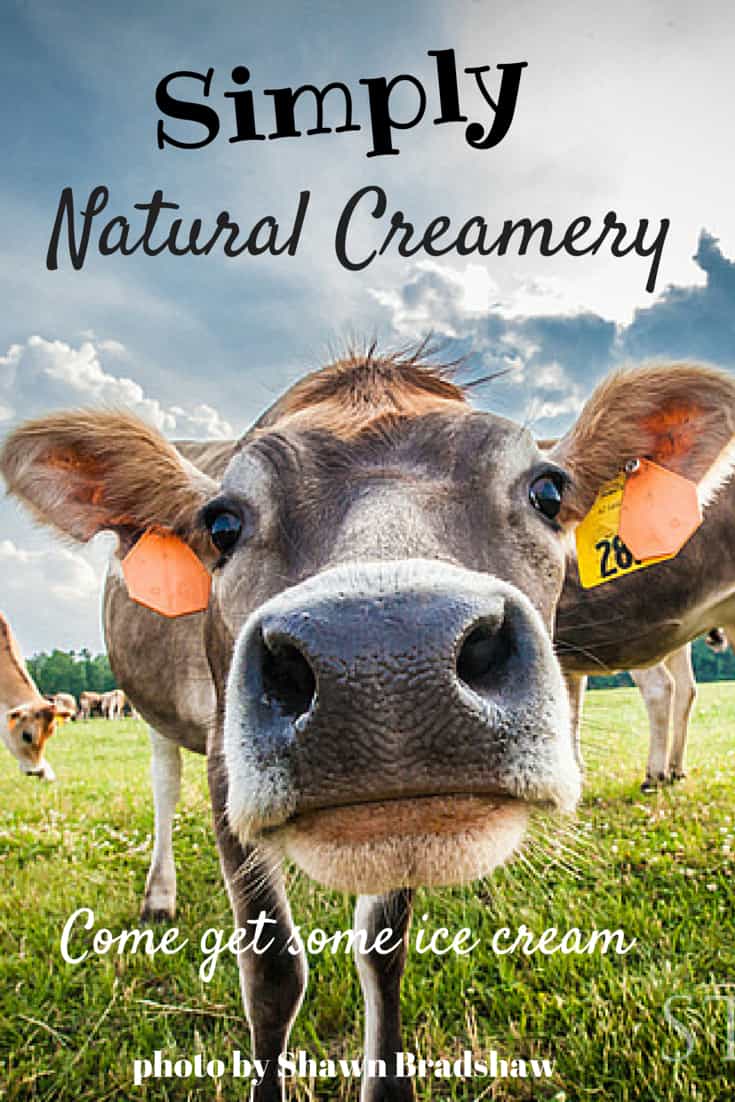 North Carolina dairy Simply Natural Creamey in Snow Hill