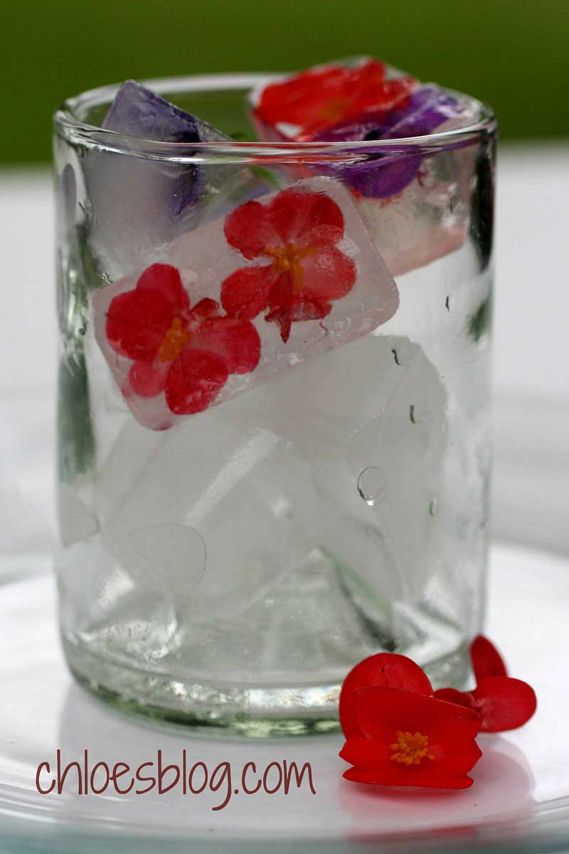 Fun Things to do With Edible Flowers | Big Mill B&B